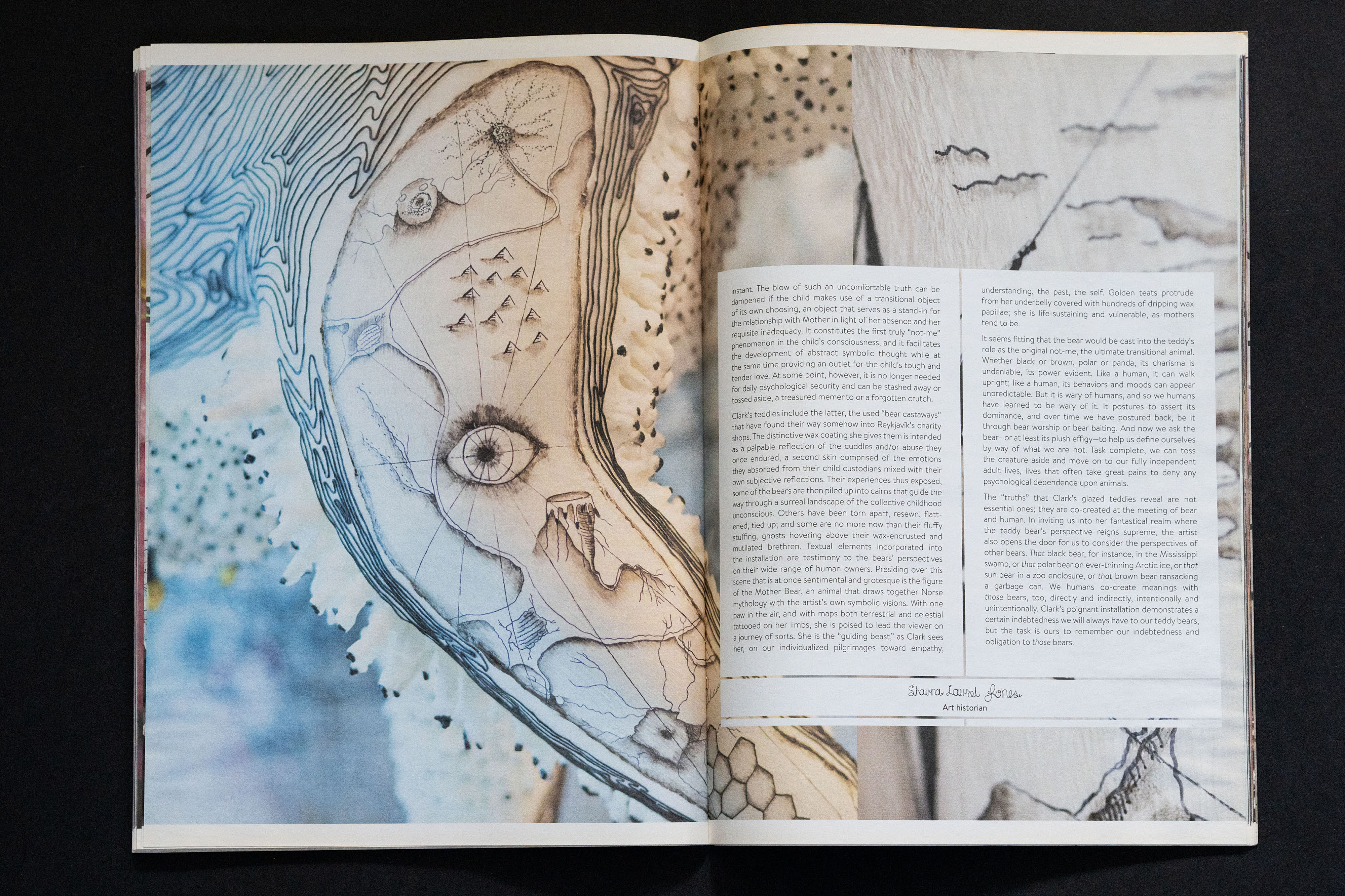 Exhibition Texts | Shauna Laurel Jones