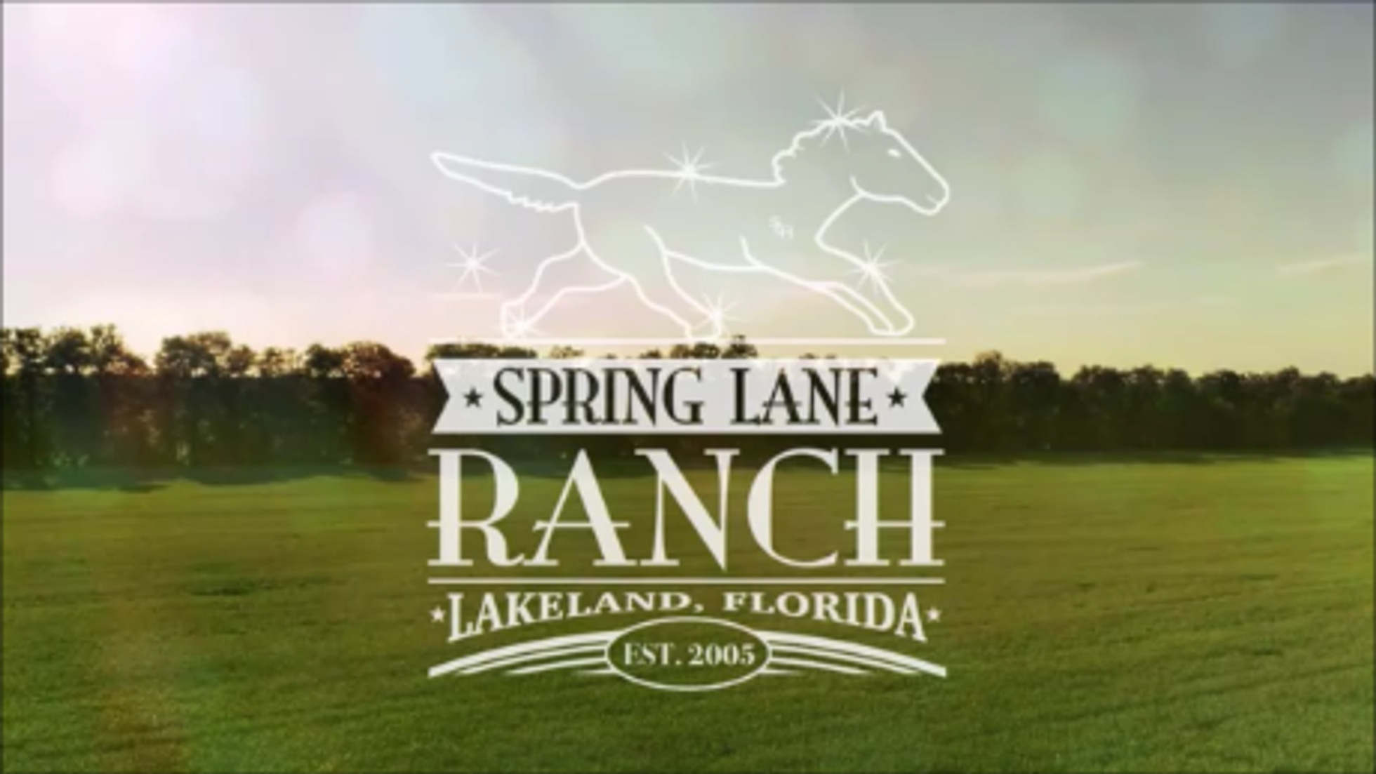 Horse Training | Spring Lane Ranch | United States