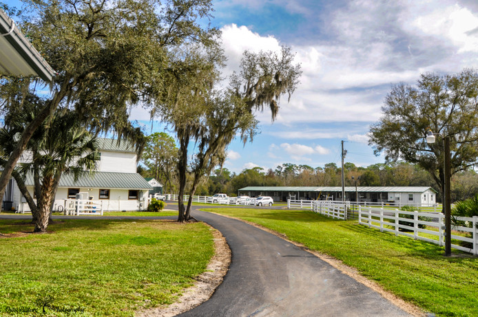 Photo Gallery | Spring Lane Ranch | United States