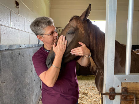 Blog | Spring Lane Ranch | United States