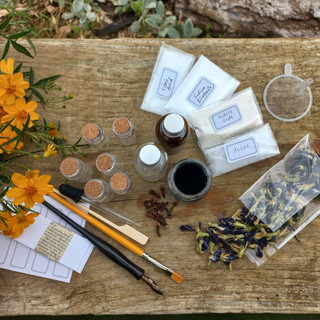 INK KITS | Wild Studio