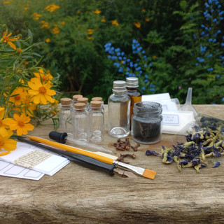 INK KITS | Wild Studio