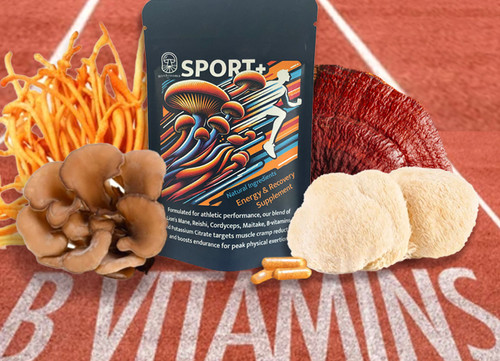 SPORT+ Mushroom-Enriched B-Vitamin Complex for Active Lifestyles ...