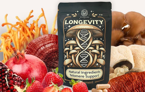 Longevity: Traditional Mushroom & Nutrient Fusion | Mushrooms Inc