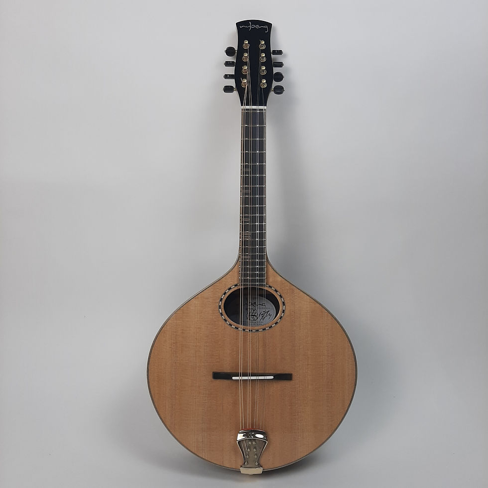 celtic mandolin | Nyberg Instruments