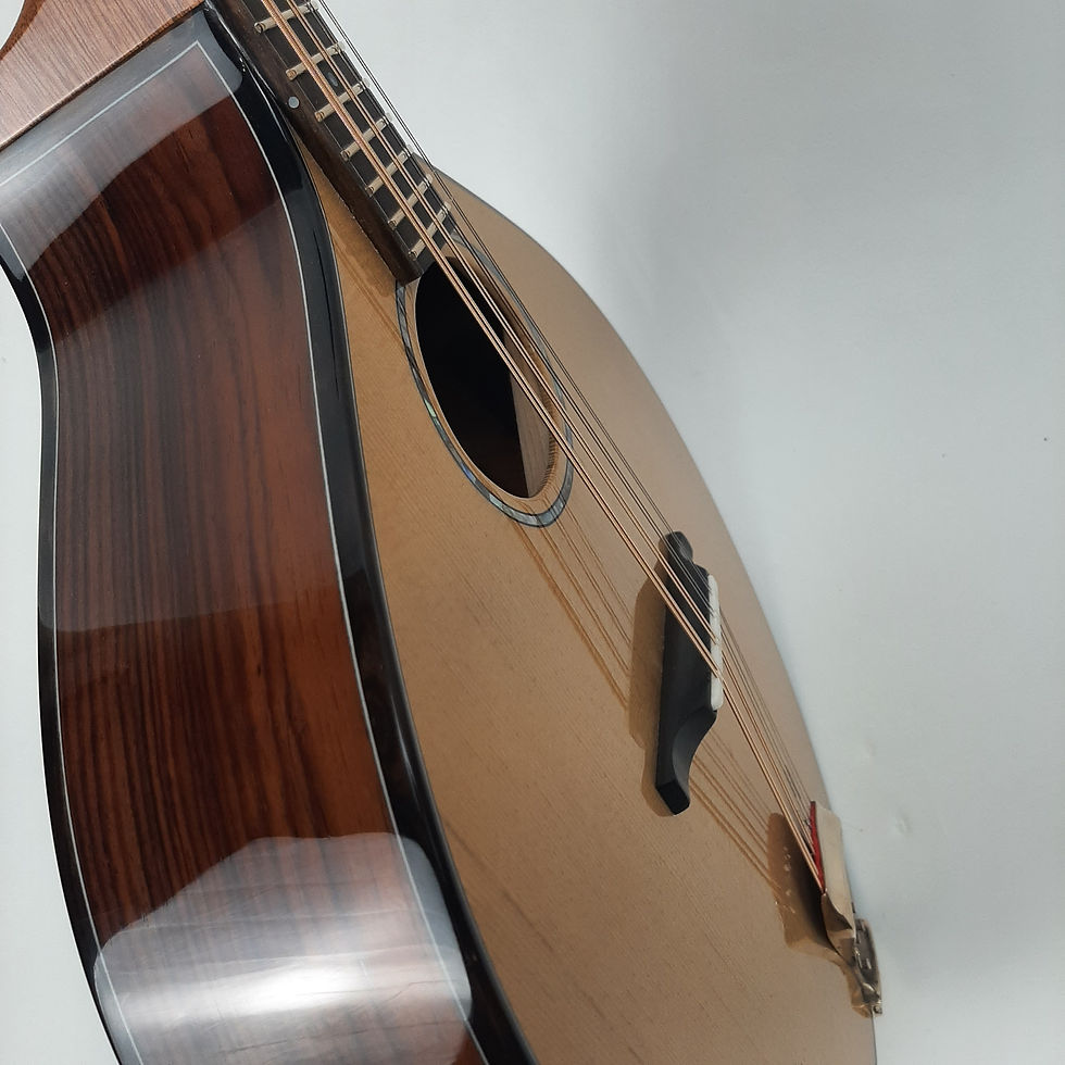 celtic mandolin | Nyberg Instruments