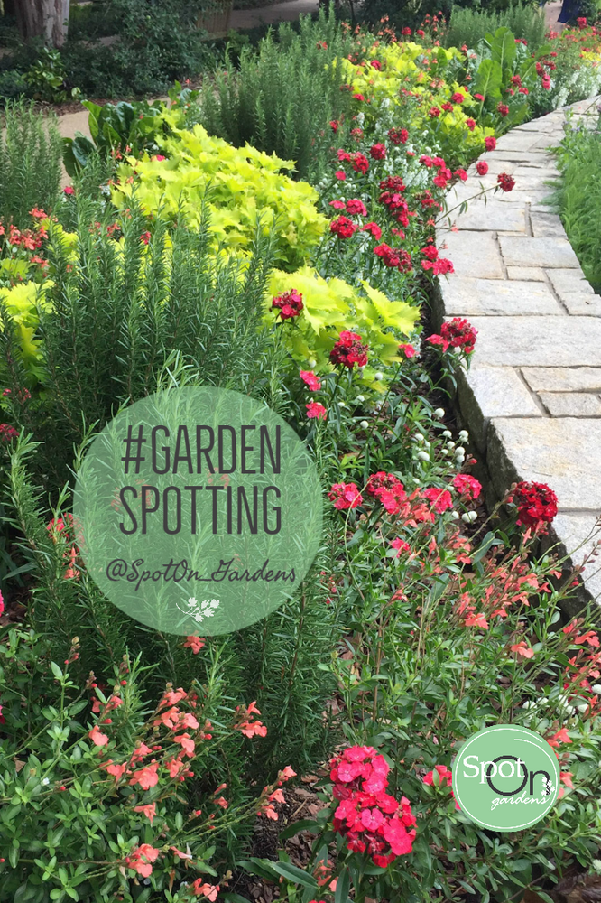 Follow My GardenSpotting Adventures