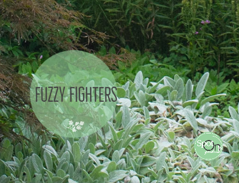 Fuzzy Fighters