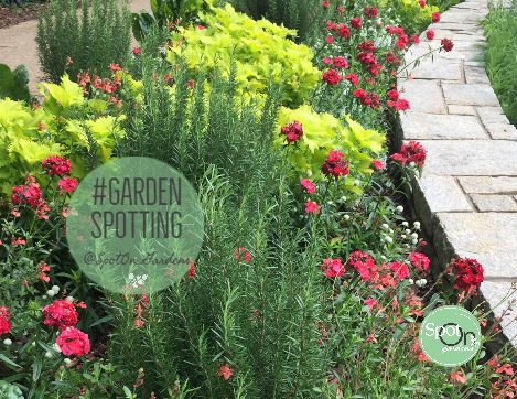 Follow My GardenSpotting Adventures