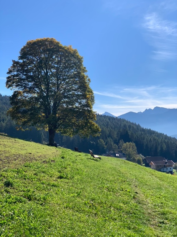 Hermann Hesse "Trees" | Poetry