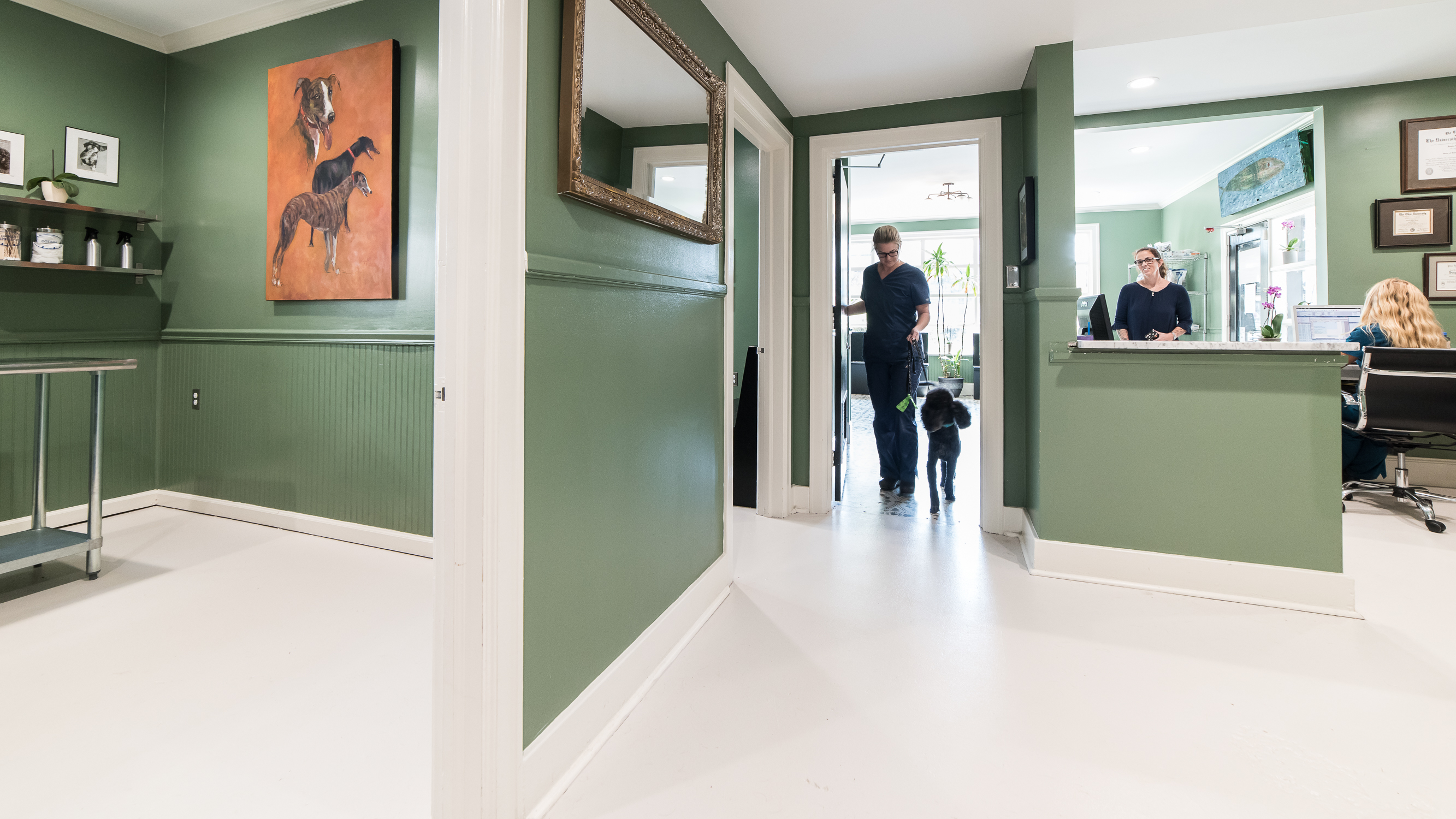 All Creatures Veterinary Clinic | Charleston, SC