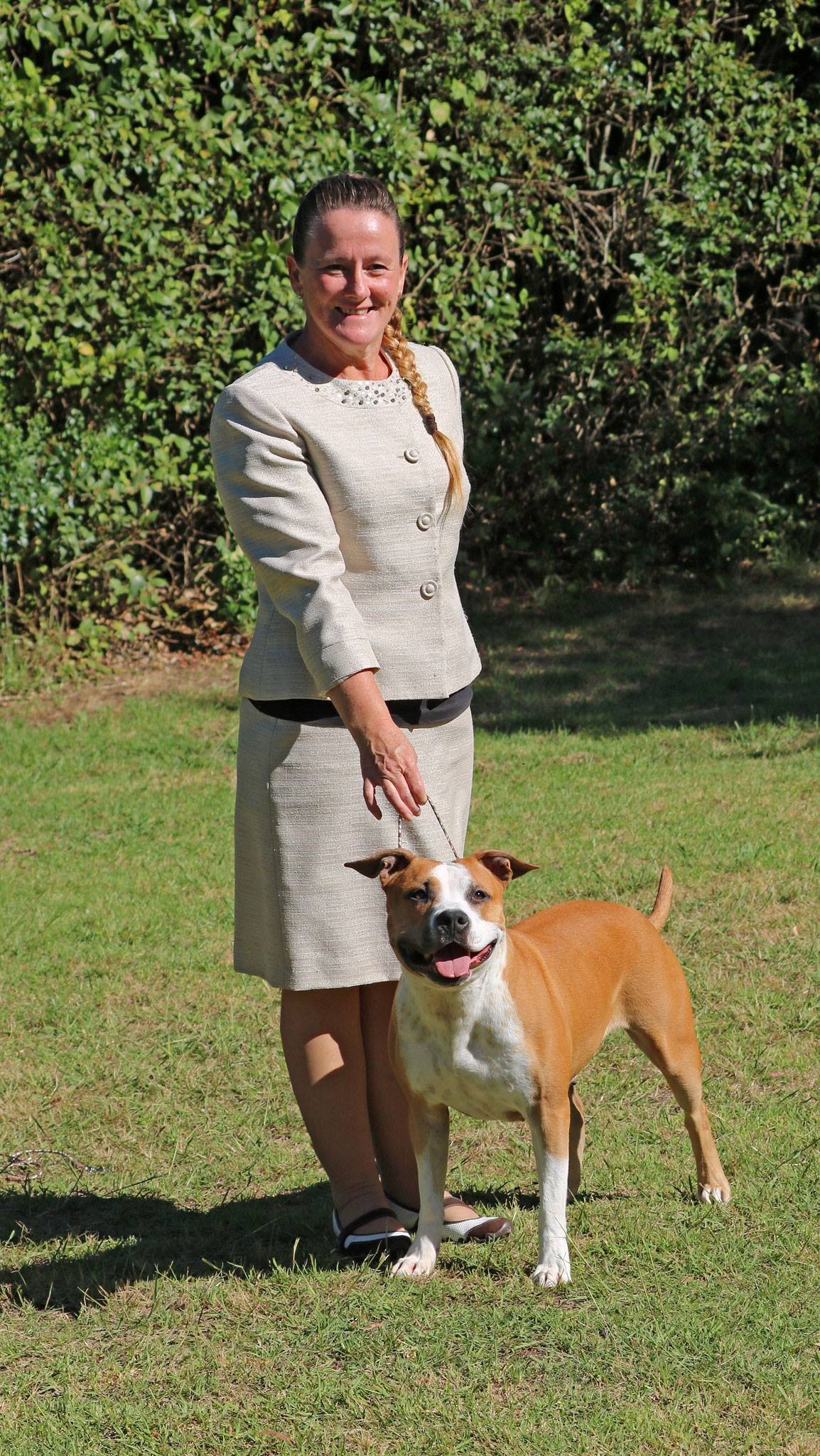DOG SHOWS | Amstaff | American Staffordshire Terrier | NT Australia