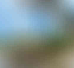 Landscapes | All Out Landscaping