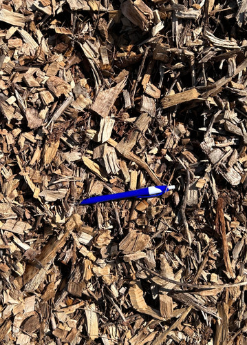 Aged Chips | Backyard to Nature