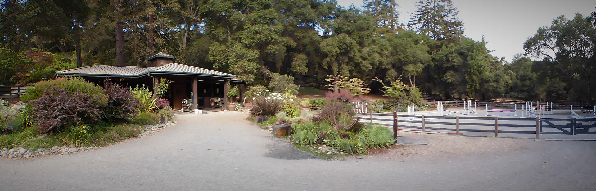 Oak Meadow Ranch | Activities