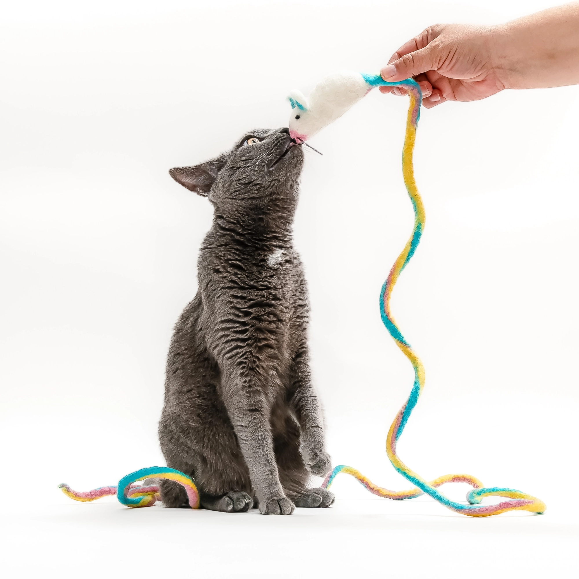 Long Tail Wool Mouse Cat Toy (Rainbow - Unicorn) | Kittyglitz