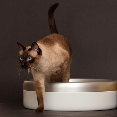 Katchit Enamelled Steel Cat Litter Box White | Kittyglitz
