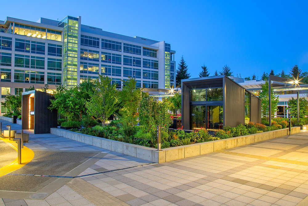 GRAY AWARDS 2020 Editors’ Picks