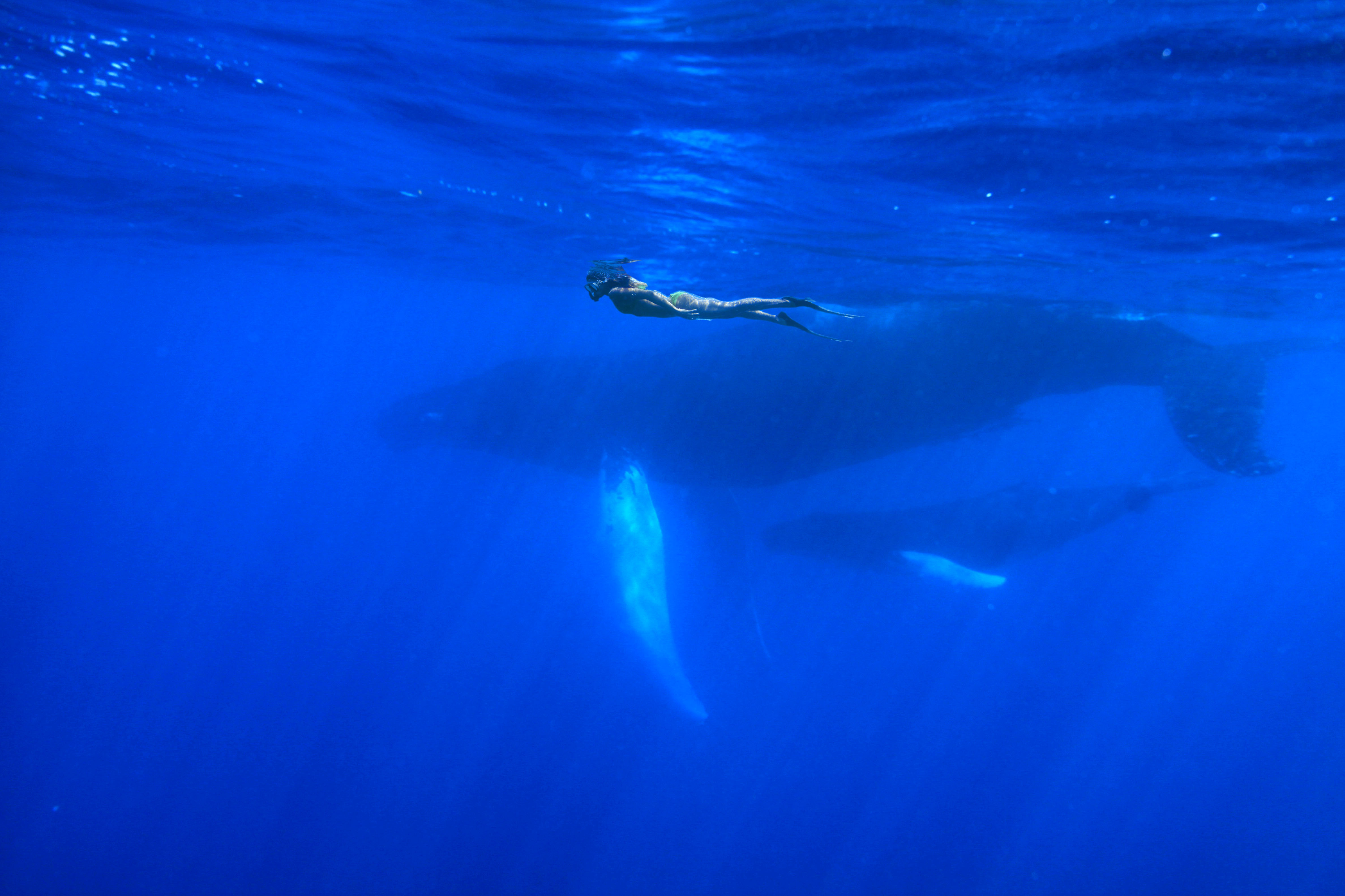 BEHIND SCENES | sea-cam