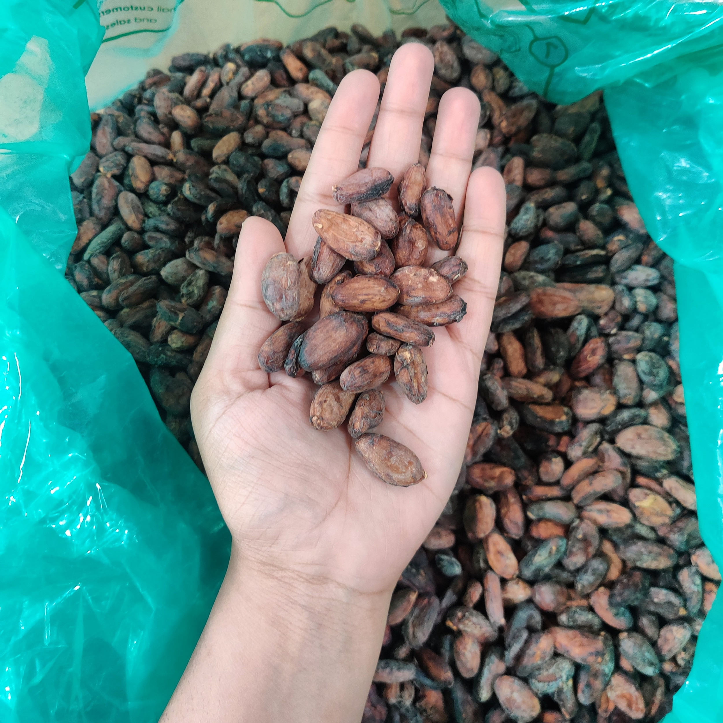 From Bean to Bar: The Delicious Journey of Chocolate