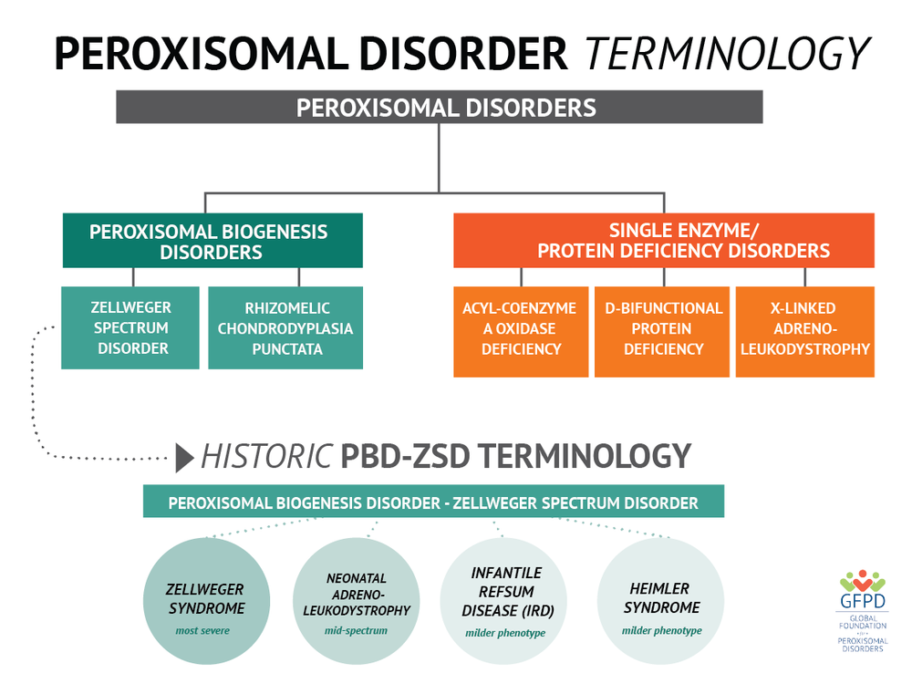 History of peroxisome biogenesis disorder-Zellweger spectrum disorder ...