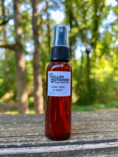 Sow Hog in Heat | PhillipsOutdoors