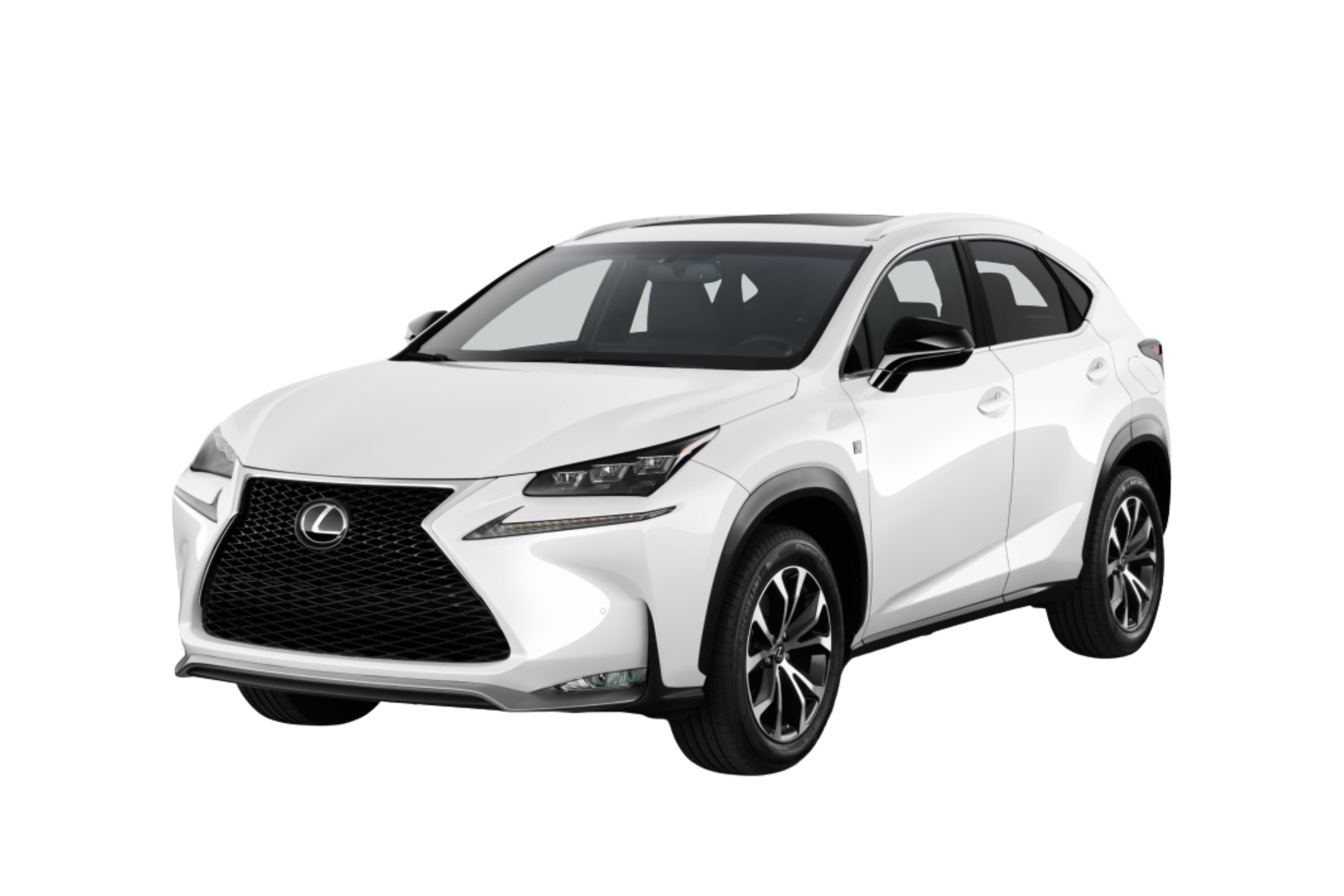 NX Models | Painted OEM Parts