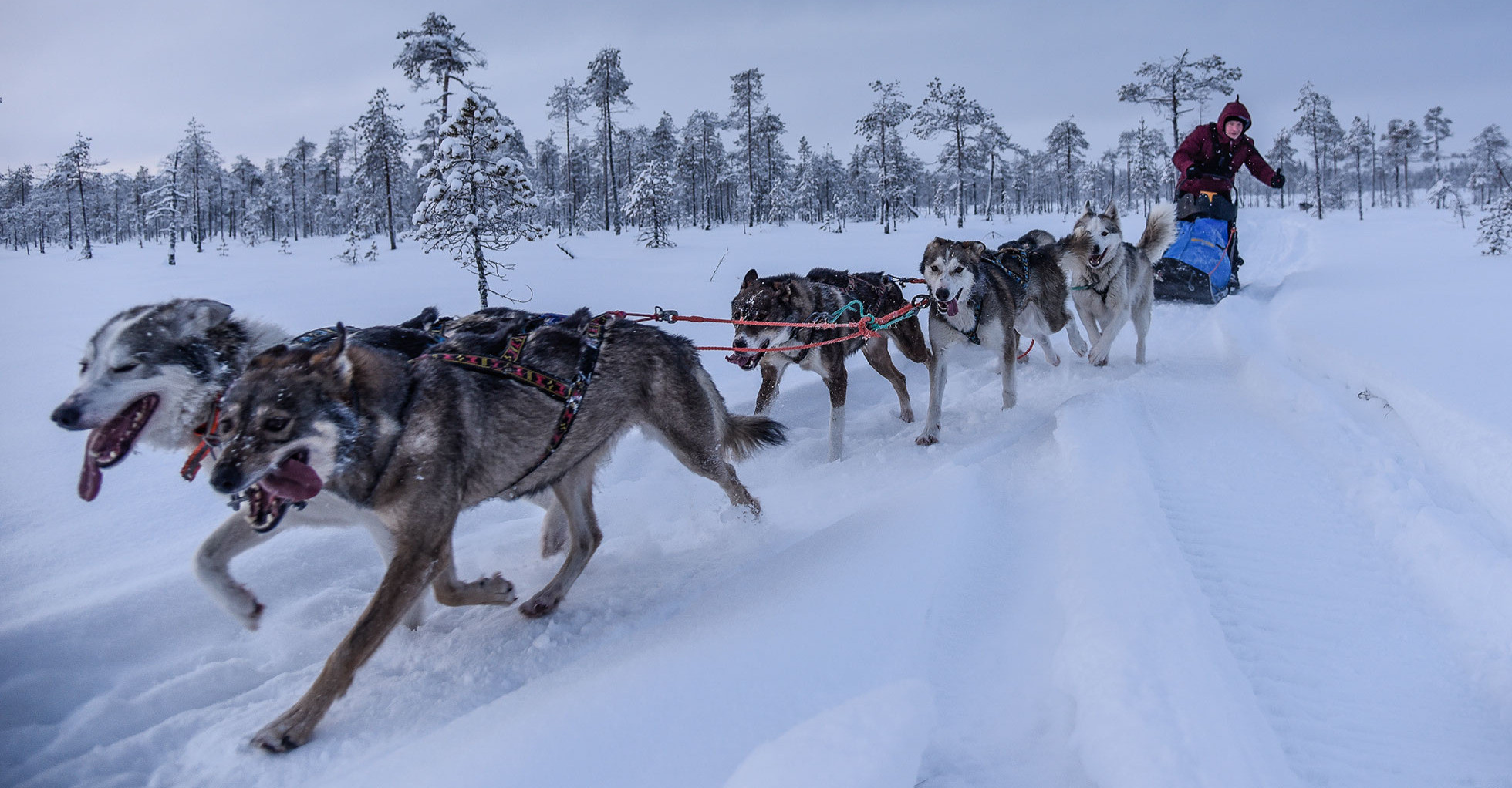 Activities | Territoires du Nord | Taïga Lodge | Finland