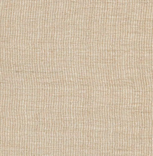 begirari | YP25005 | solidandpattern