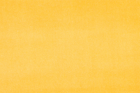 Marlow Velvet | gold leaf | solidandpattern