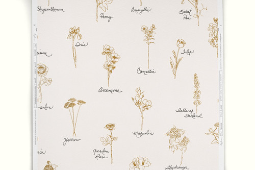 Seasons | cloud | solidandpattern