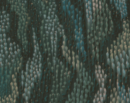 Alex | rainy lake | solidandpattern