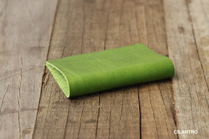 Arazzo Vector | cilantro | solidandpattern