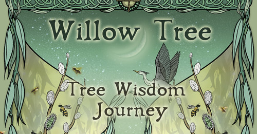 Willow Tree - Tree Wisdom Journey | Forestheart