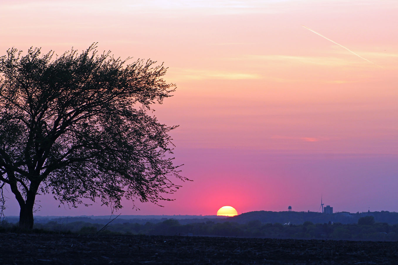 Farm | Windy Willow | Northfield