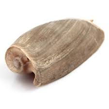 La belle histoire de l'Eglise de Nianing