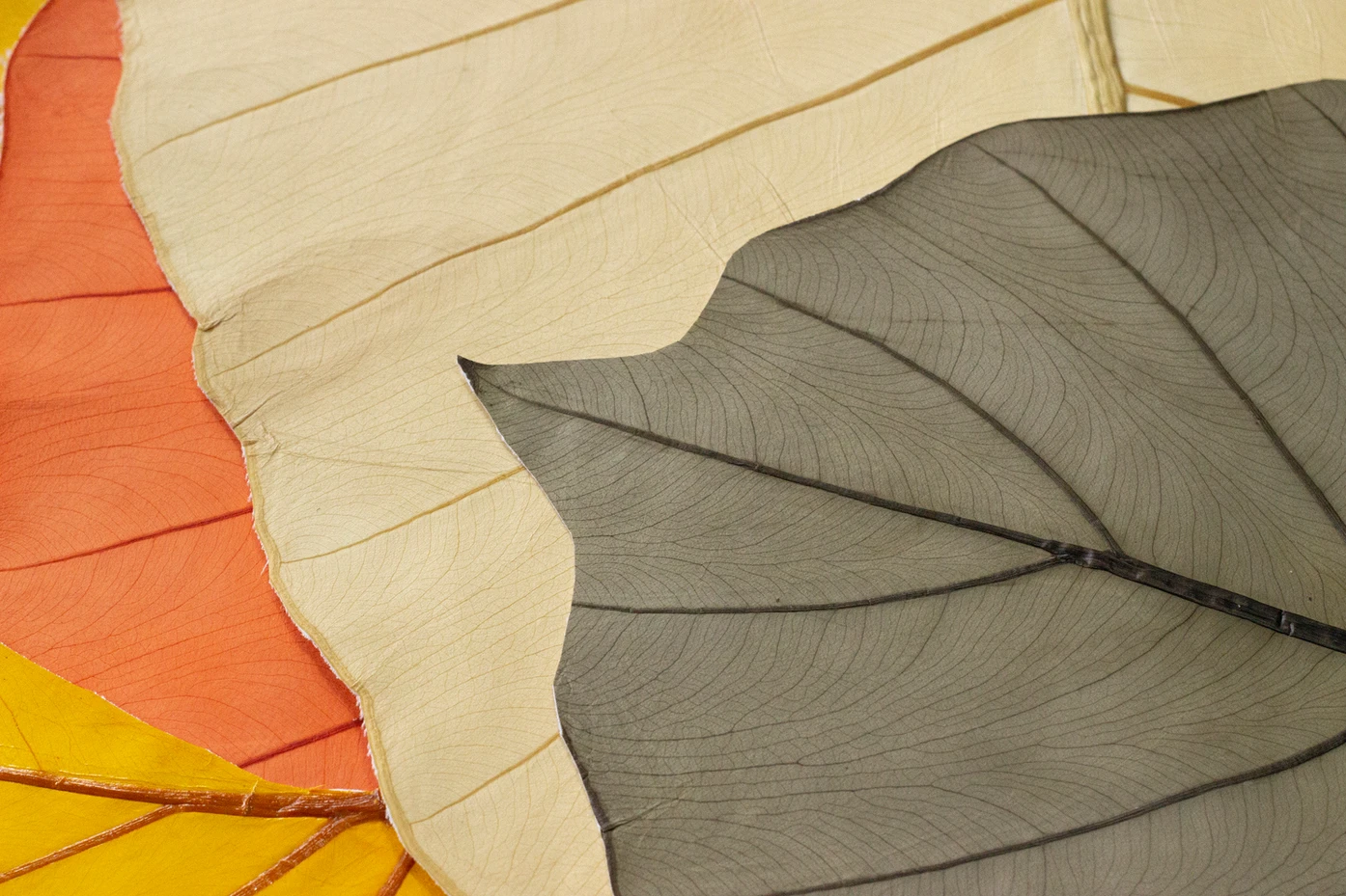 beLeaf | Brazil Creating Fashion for Tomorrow