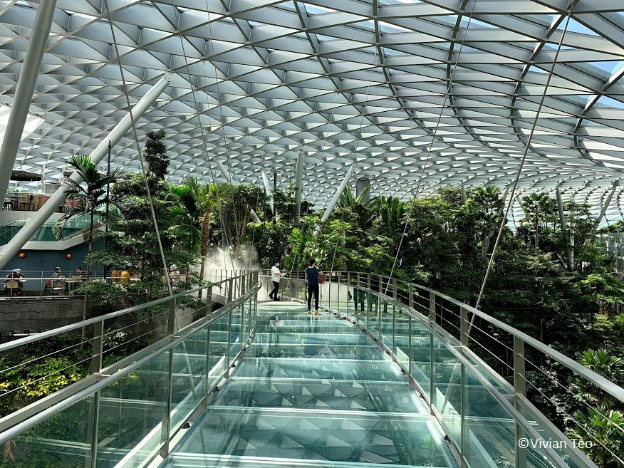 Is it worth taking the kids to Canopy Bridge and walking sky net at ...