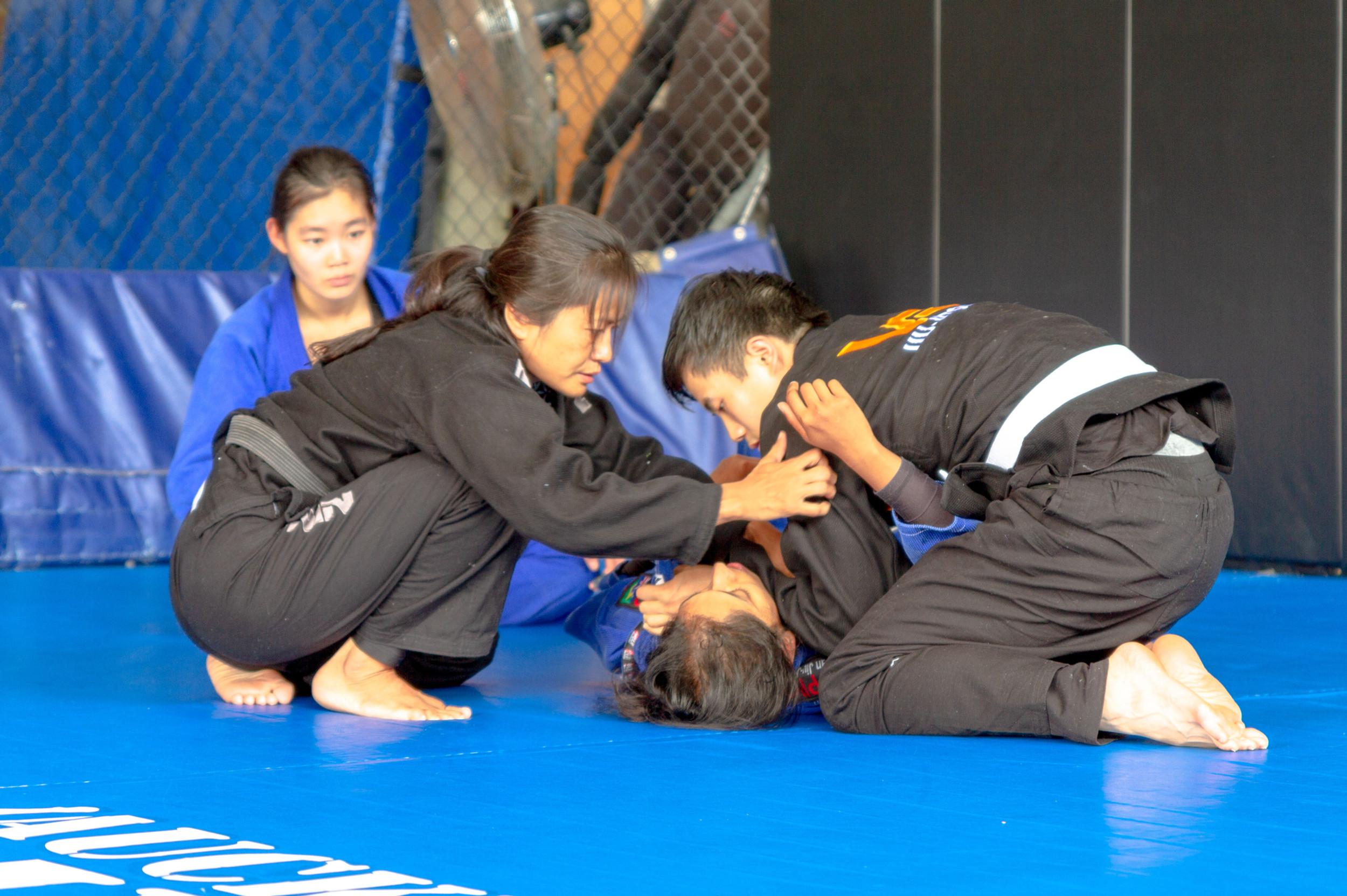 COACHES | Aucklandmma