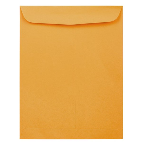 12" x 15-1/2" Envelopes (Pack of 25) | COS Ltd.