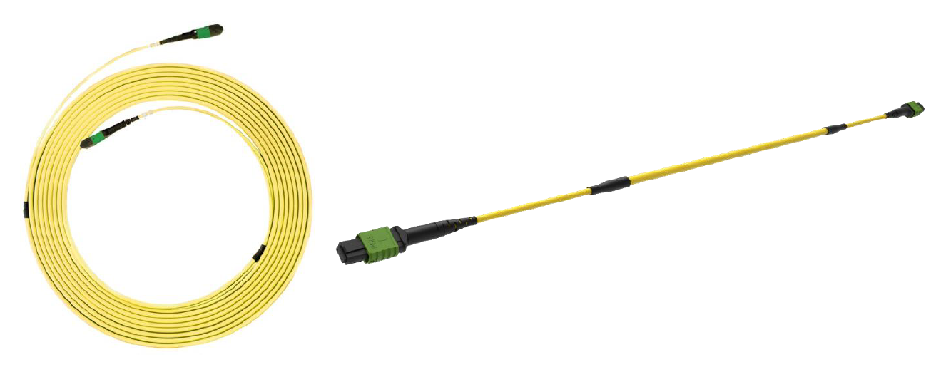 Giganet MTP MPO Base-1x16FO Trunk