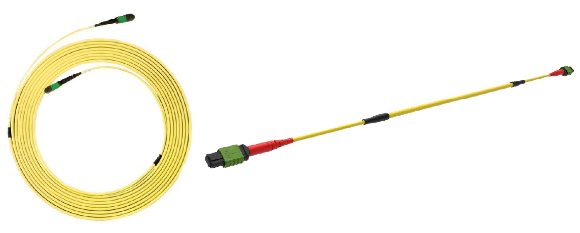 Giganet MTP MPO Base-24 Trunks