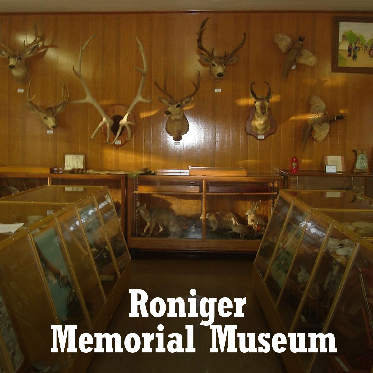Roniger Memorial Museum