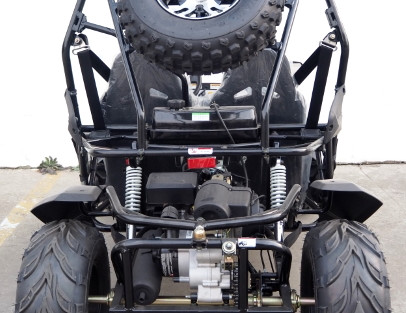Dune Buggies / UTV | TTC Motorsports Ltd | Canada