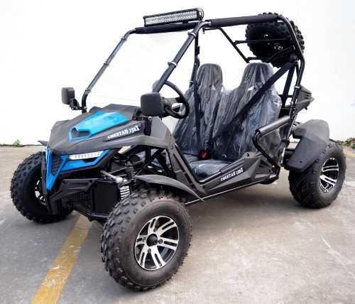 Dune Buggies / UTV | TTC Motorsports Ltd | Canada