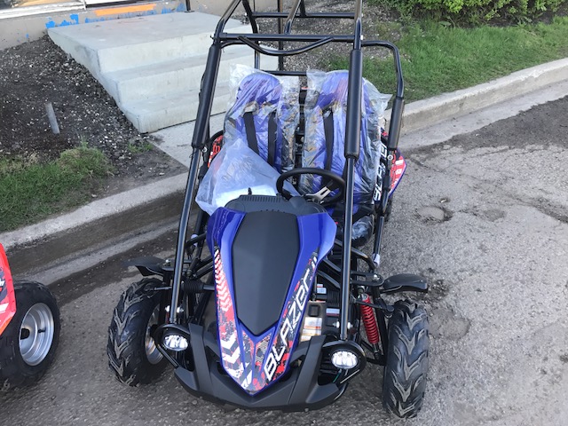 Dune Buggies / UTV | TTC Motorsports Ltd | Canada