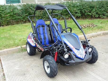 Dune Buggies / UTV | TTC Motorsports Ltd | Canada