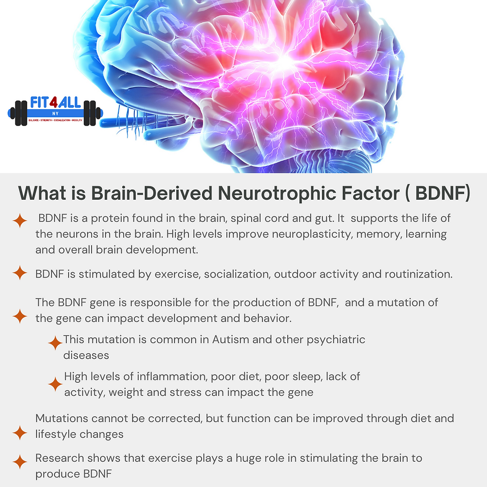 Exercise stimulates BDNF in children with Autism