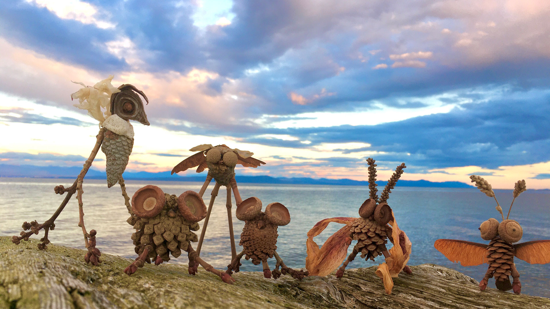 Cindy Foley Artist | Children's Book Author | Cumberland, BC