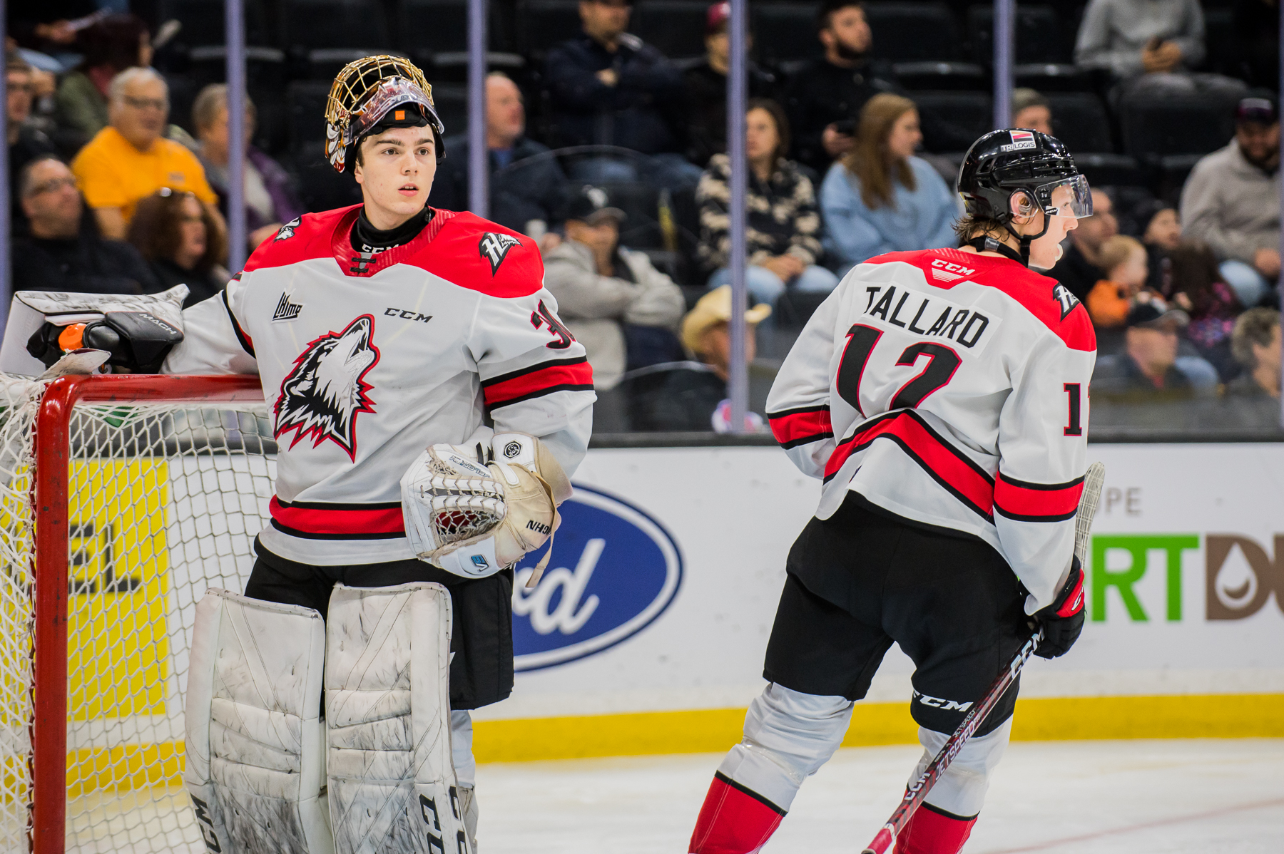 Les Huskies, un club surprenant qu’on parle trop peu